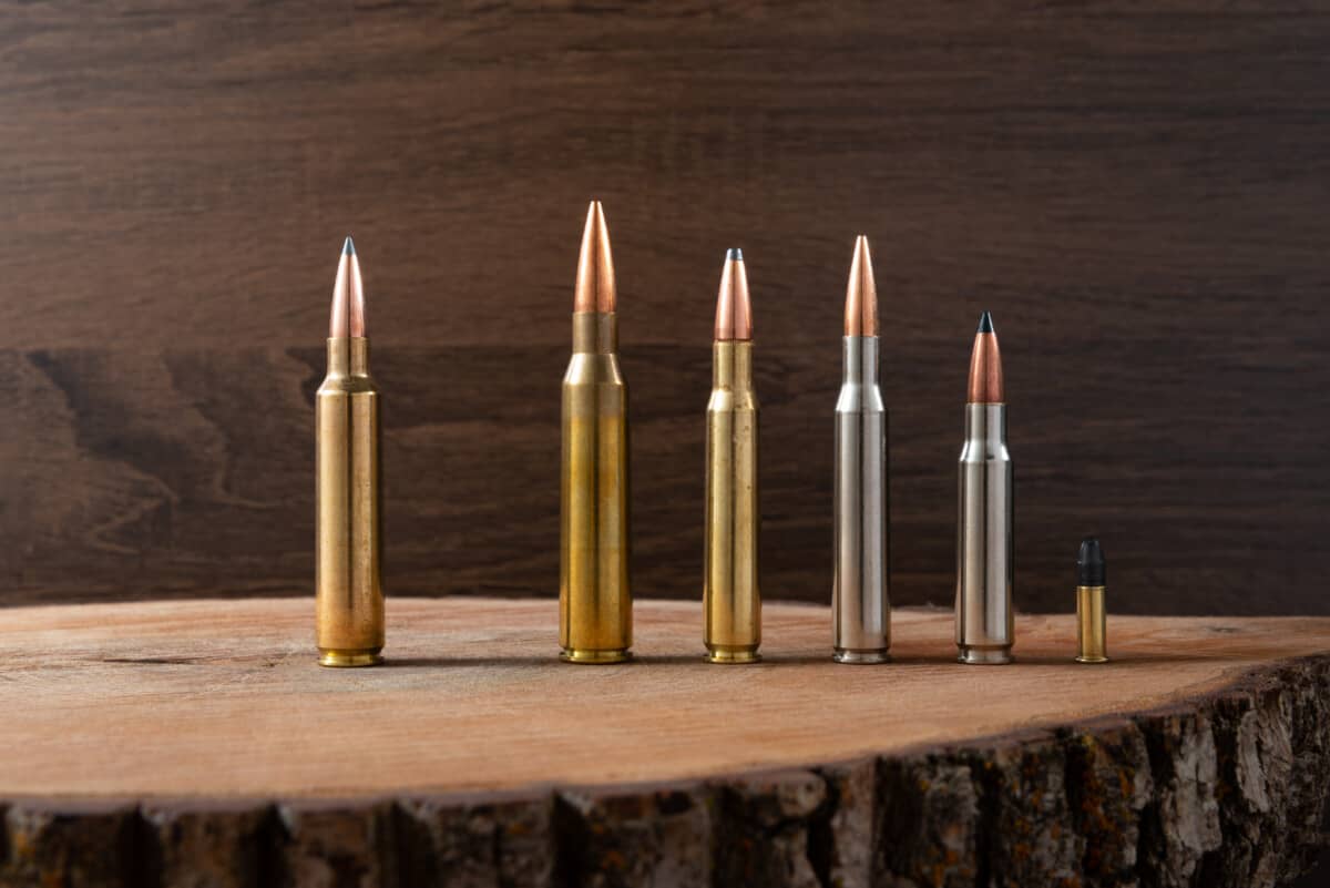 Caliber to MM Conversion Chart for All Cartridges – Backfire
