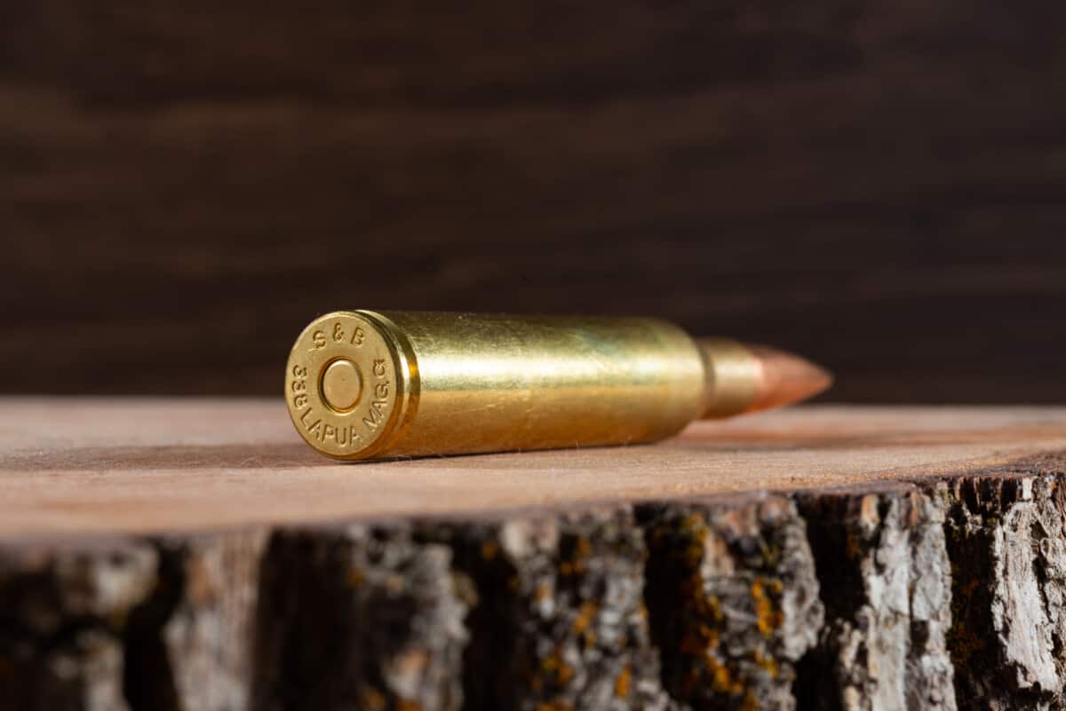 How to Tell If Your Gun is Rimfire or Centerfire – Backfire