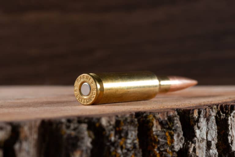 6.5 Creedmoor: A complete profile with pros and cons – Backfire