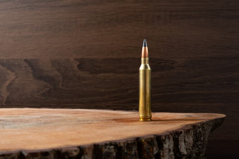 9 Best Cartridges for Long Range Hunting – Backfire