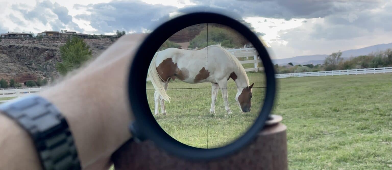 How Much Rifle Scope Zoom You Need (With pictures) – Backfire