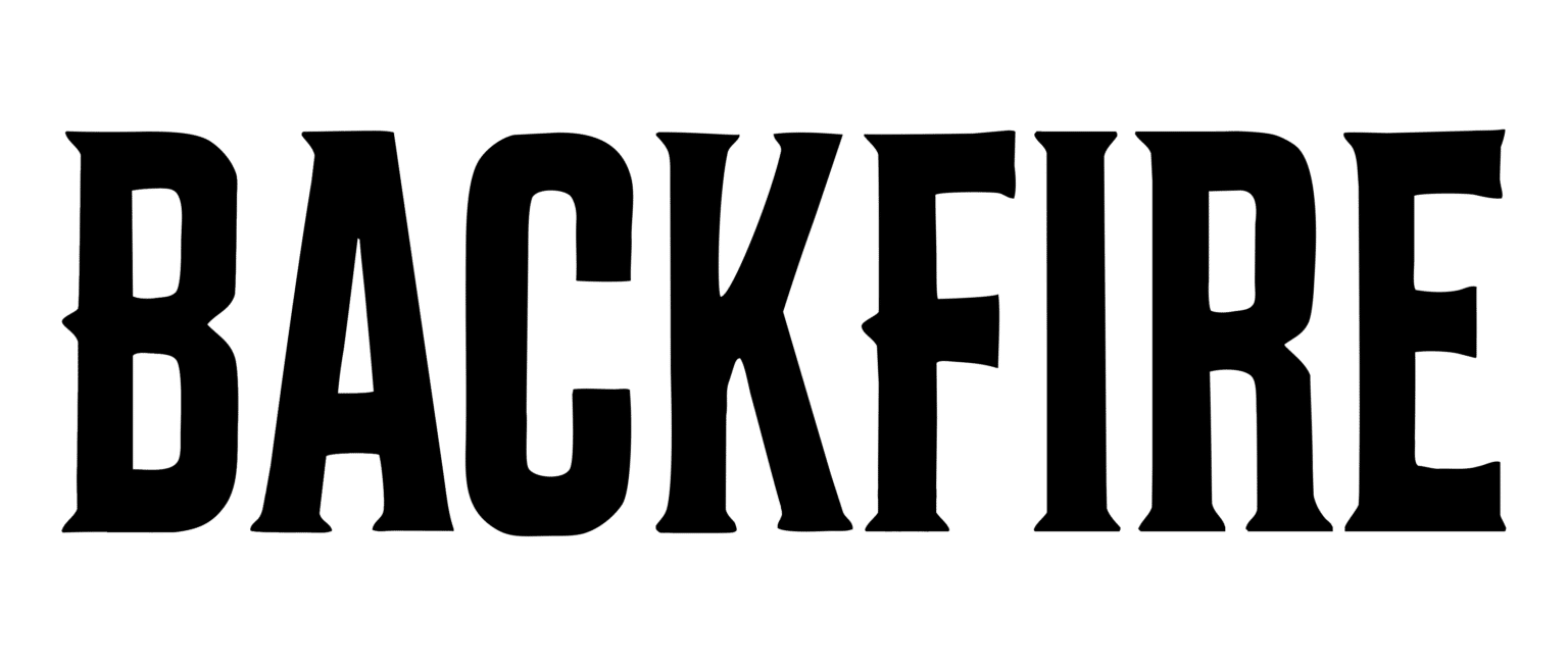 5 Best Cartridges and Calibers for Bison Hunting – Backfire